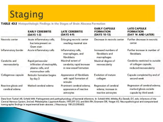 Abses Cerebri pada Pediatrik dan tatalaksananya | PPT