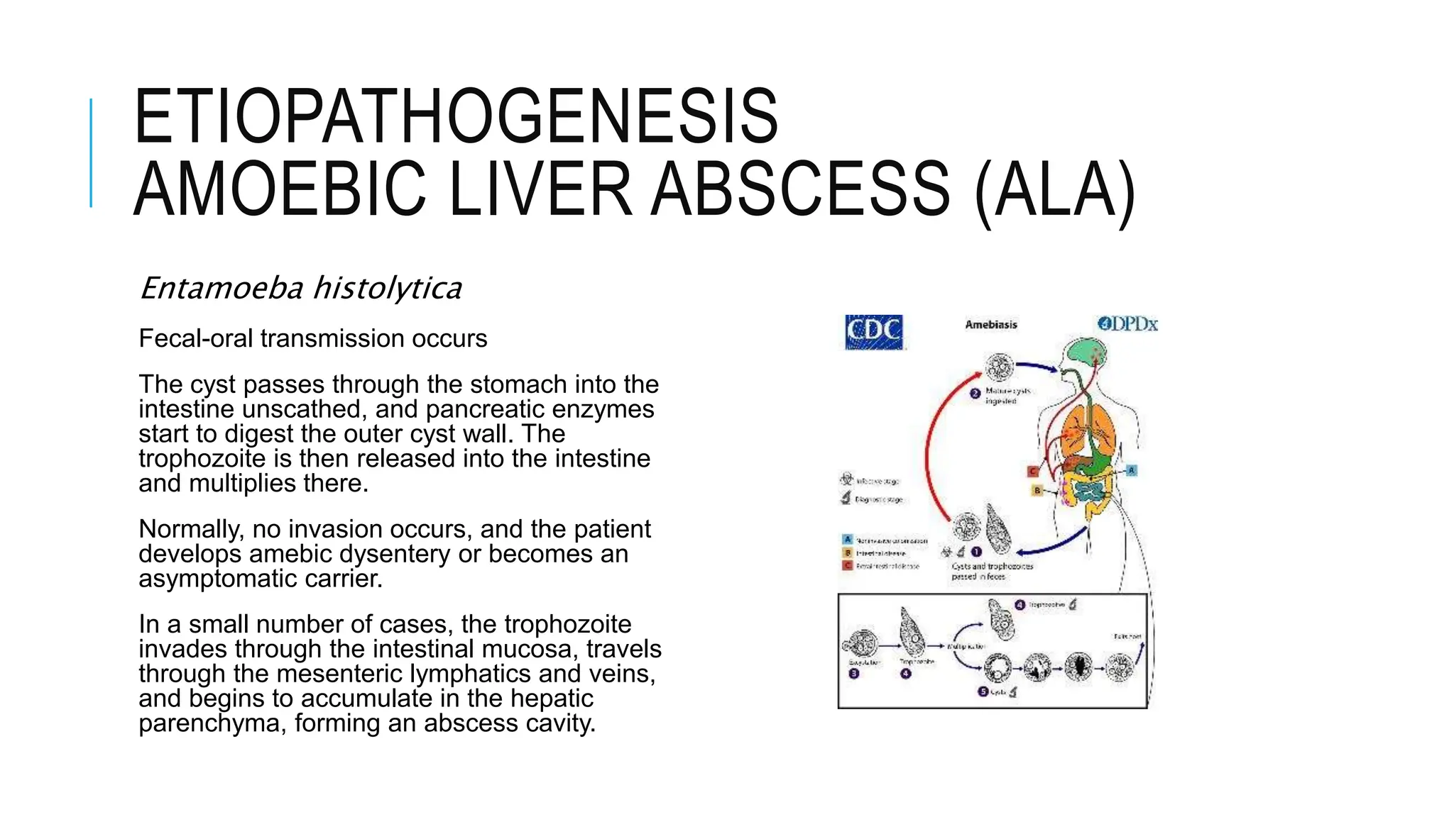 Abses Hepar (Liver Abscess) Abses Hepar (Liver Abscess) | PPT