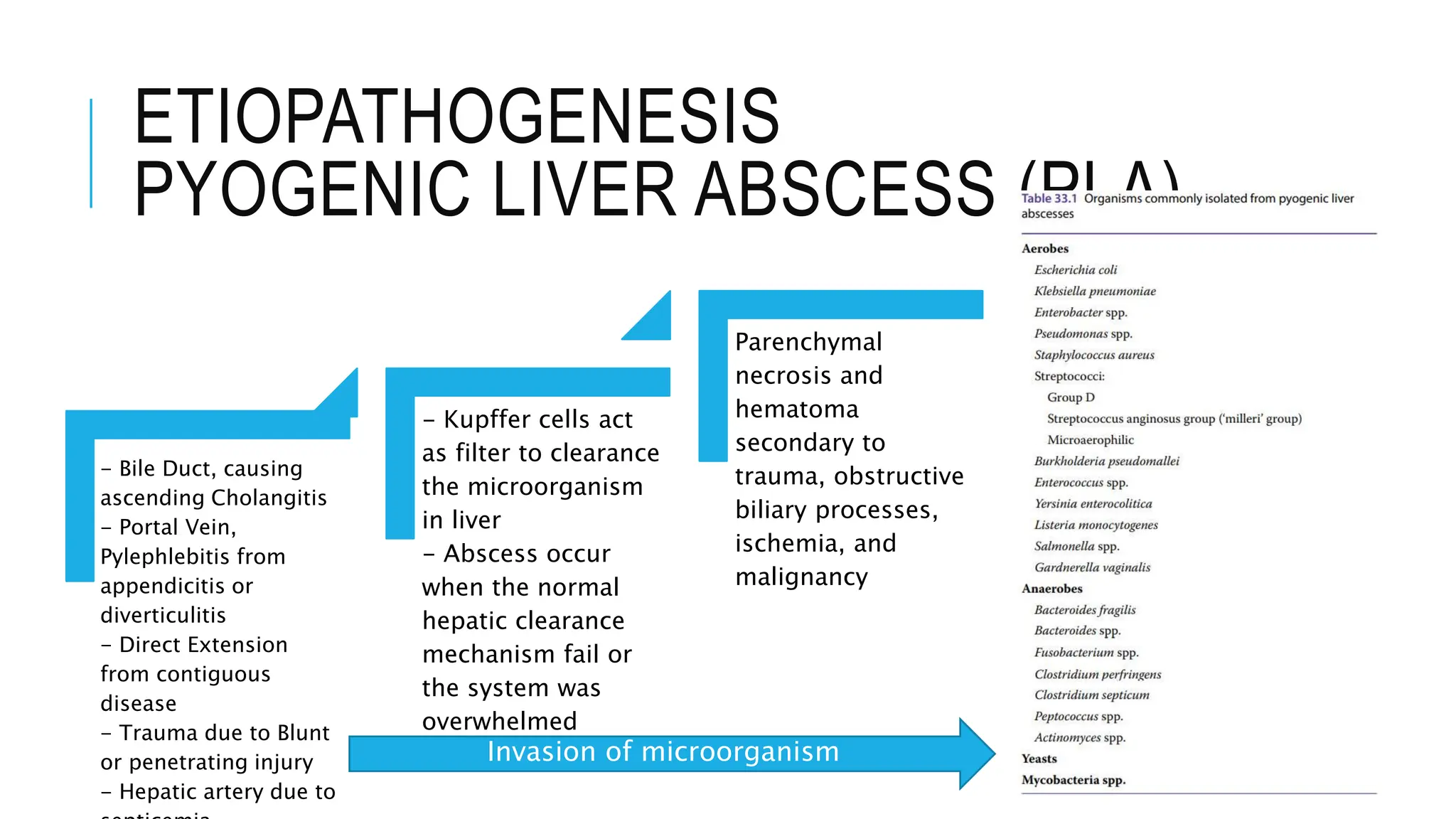 Abses Hepar (Liver Abscess) Abses Hepar (Liver Abscess) | PPT