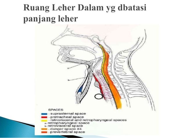 Abses leher dalam