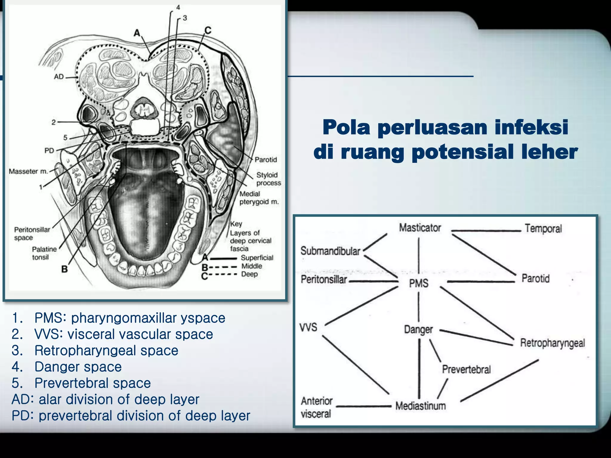 ABSES LEHER DALAM - Bimbingan.pptx