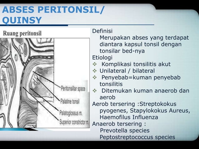 ABSES LEHER DALAM - Bimbingan.pptx
