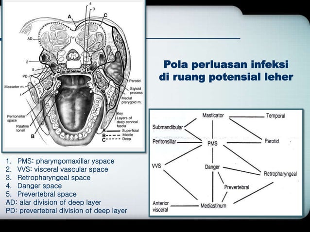 ABSES LEHER DALAM - Bimbingan.pptx