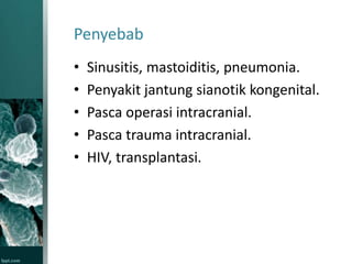 Abses otak gk | PPTX