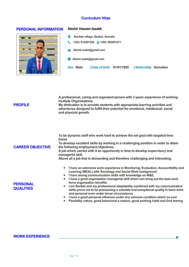 Abshir CV.docx