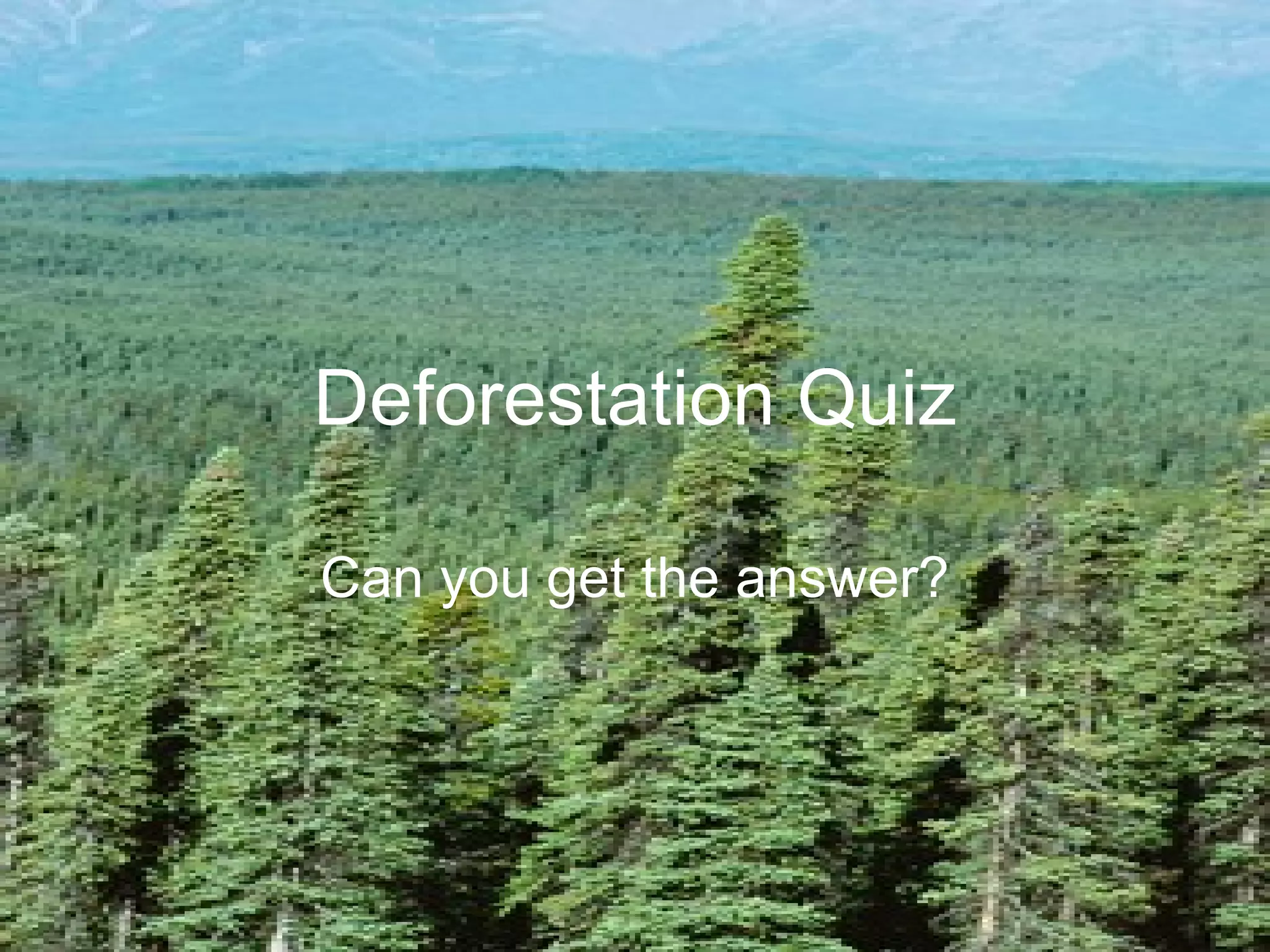 Absolutely totally correct deforestation quiz | PPT