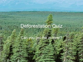Absolutely totally correct deforestation quiz | PPT