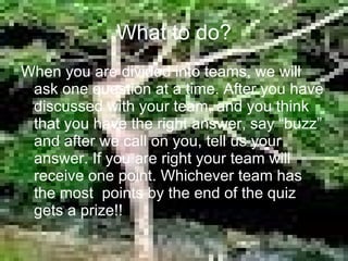 Absolutely totally correct deforestation quiz | PPT