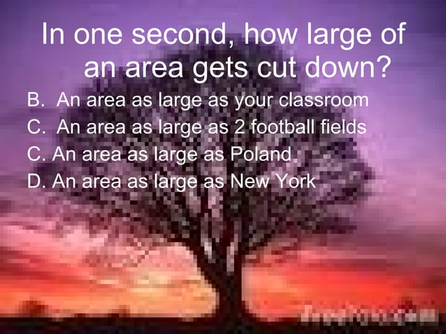 Absolutely totally correct deforestation quiz | PPT | Geography | Science