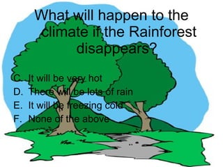 Absolutely totally correct deforestation quiz | PPT