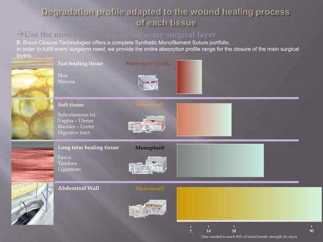 Absorbable monofilament | PPT