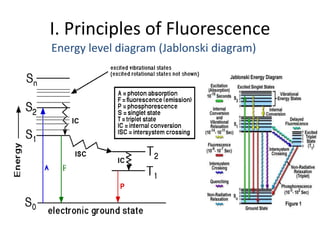 Absorbance and emission | PPTX