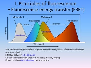 Absorbance and emission | PPTX
