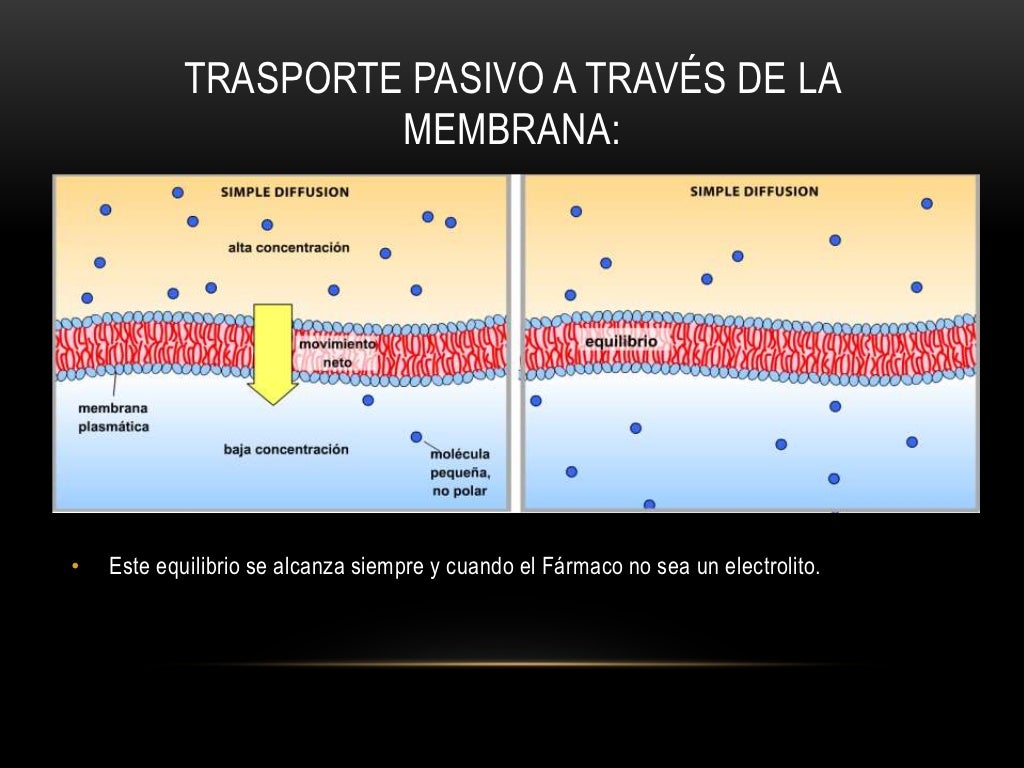 Absorción de Fármacos