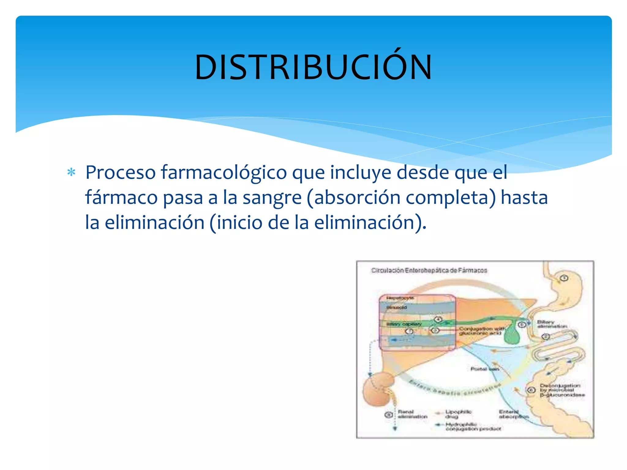 Absorción y distribucion de los farmacos | PPTX