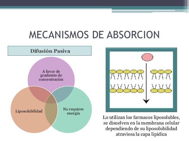 Absorcion Farmacologica