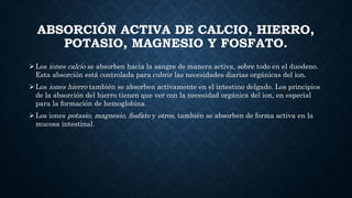 Absorcion | PPTX