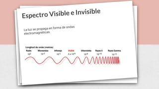 El espectro visible e invisible. La absorción y reflexion | PPTX