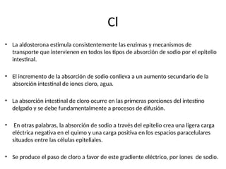 absorcion , carrera de nutricion , fisiologia | PPTX