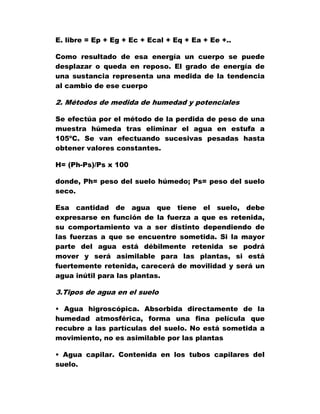 apoplasto y simplasto Absorcion del agua por las plantas | PDF