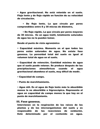 apoplasto y simplasto Absorcion del agua por las plantas | PDF