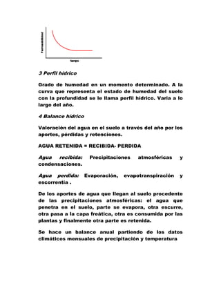 apoplasto y simplasto Absorcion del agua por las plantas | PDF