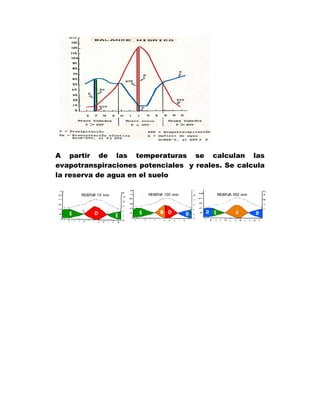 apoplasto y simplasto Absorcion del agua por las plantas | PDF
