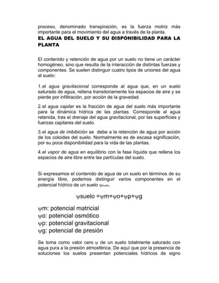 apoplasto y simplasto Absorcion del agua por las plantas | PDF