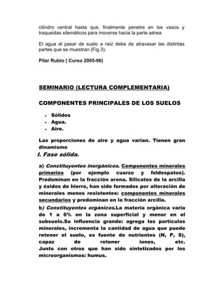 apoplasto y simplasto Absorcion del agua por las plantas | PDF