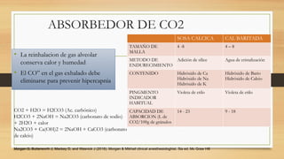 ABSORCION DEL ANHIDRIDO CARBONICO cal s | PPTX