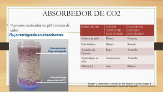 ABSORCION DEL ANHIDRIDO CARBONICO cal s | PPTX