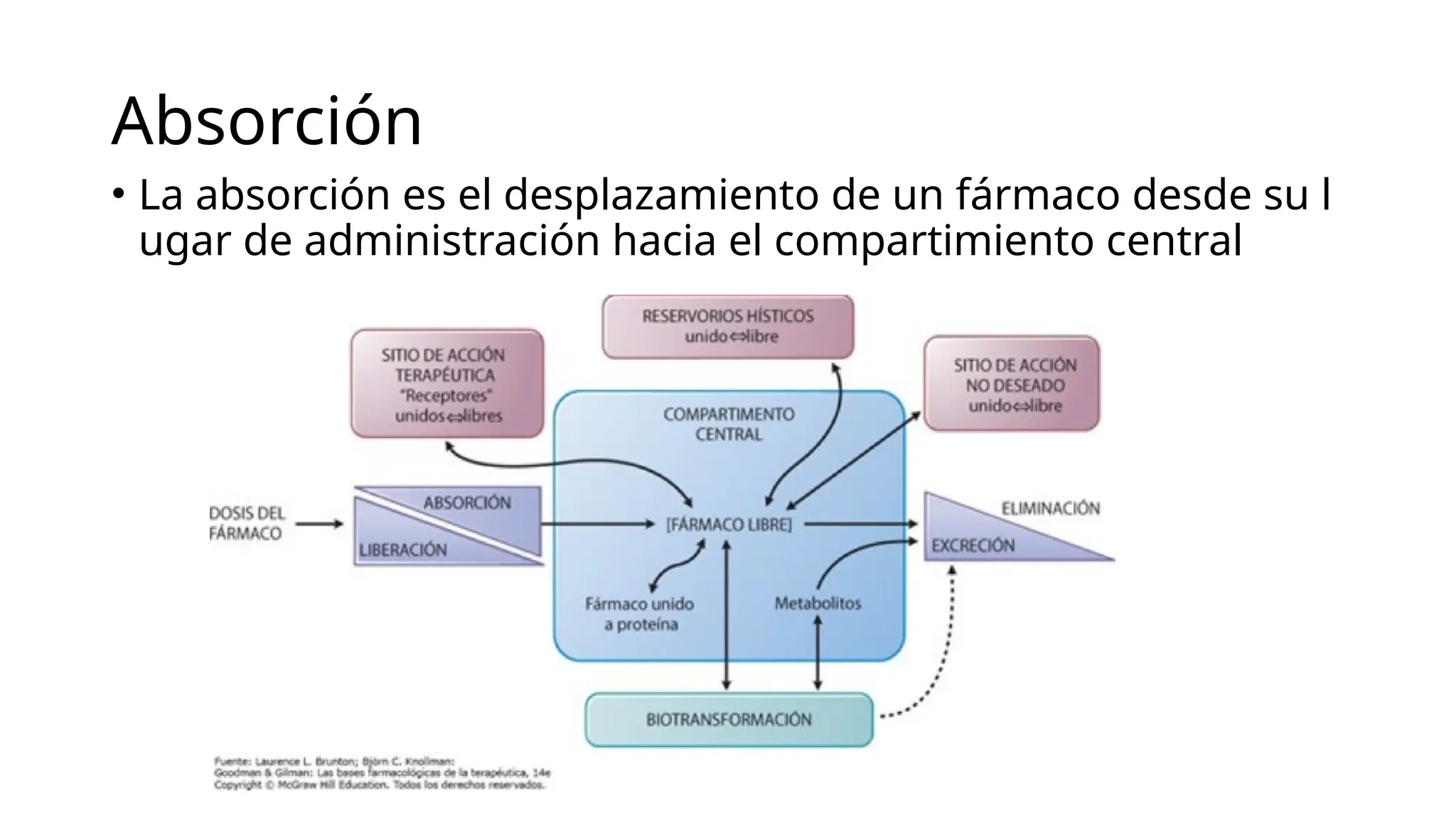 Absorcion, liberacion y vias de administracion Tema 4 y 5.pptx