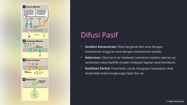 Absorpsi-Obat-dan Rute pemberian Obat.pptx