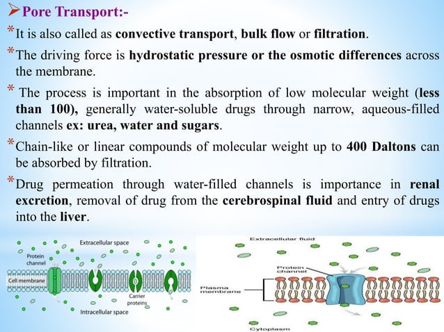 Absorption | PPT