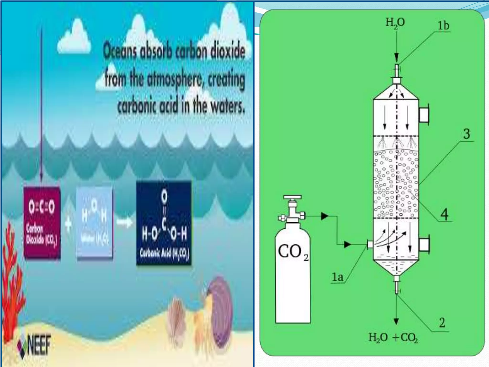 Absorption and Adsorption | PPTX
