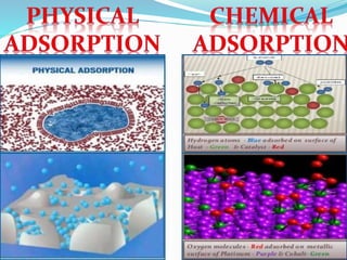 Absorption and Adsorption | PPTX