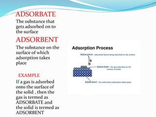 Absorption and Adsorption | PPTX
