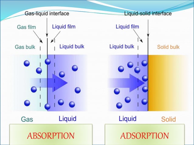 Absorption and Adsorption | PPTX
