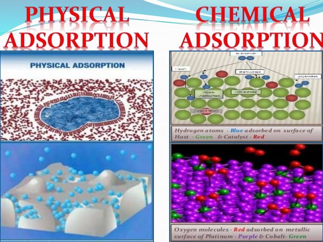 Absorption and Adsorption | PPT