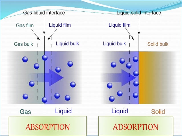 Adsorption And Absorption Adsorbtion Definition Examples