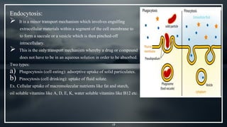 Absorption | PPTX