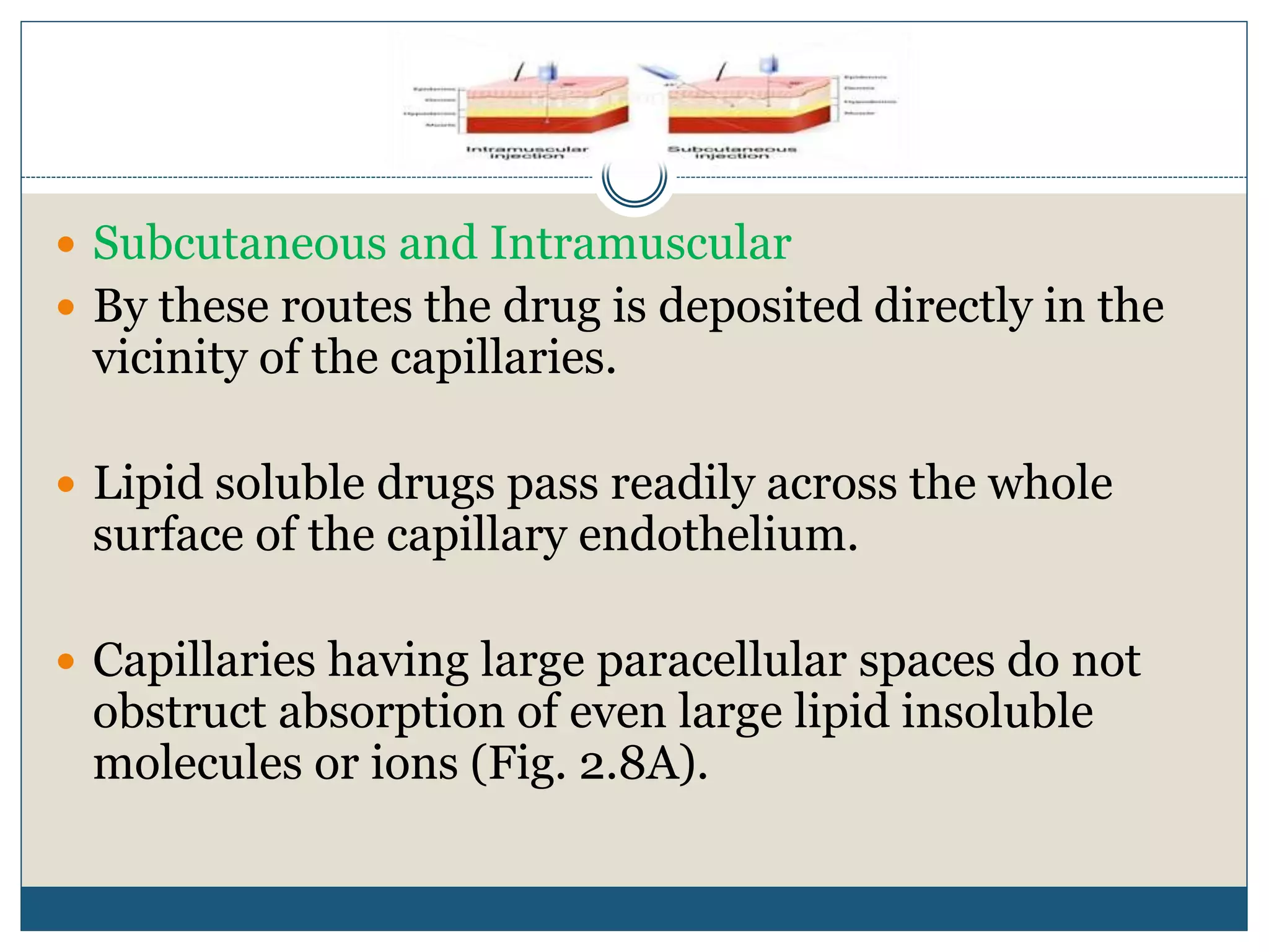 Absorption of drugs pharmacology ppt | PPTX