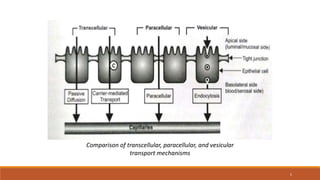 Absorption.pptx