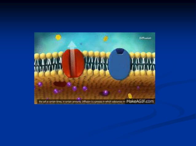 Absorption of drugs in pharmacology .ppt