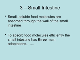 absorption-of-food. class 11th biology very good | PPT