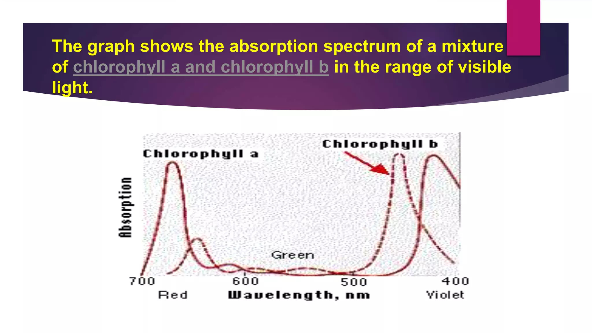 Absorption And Action Spectrum Pptx