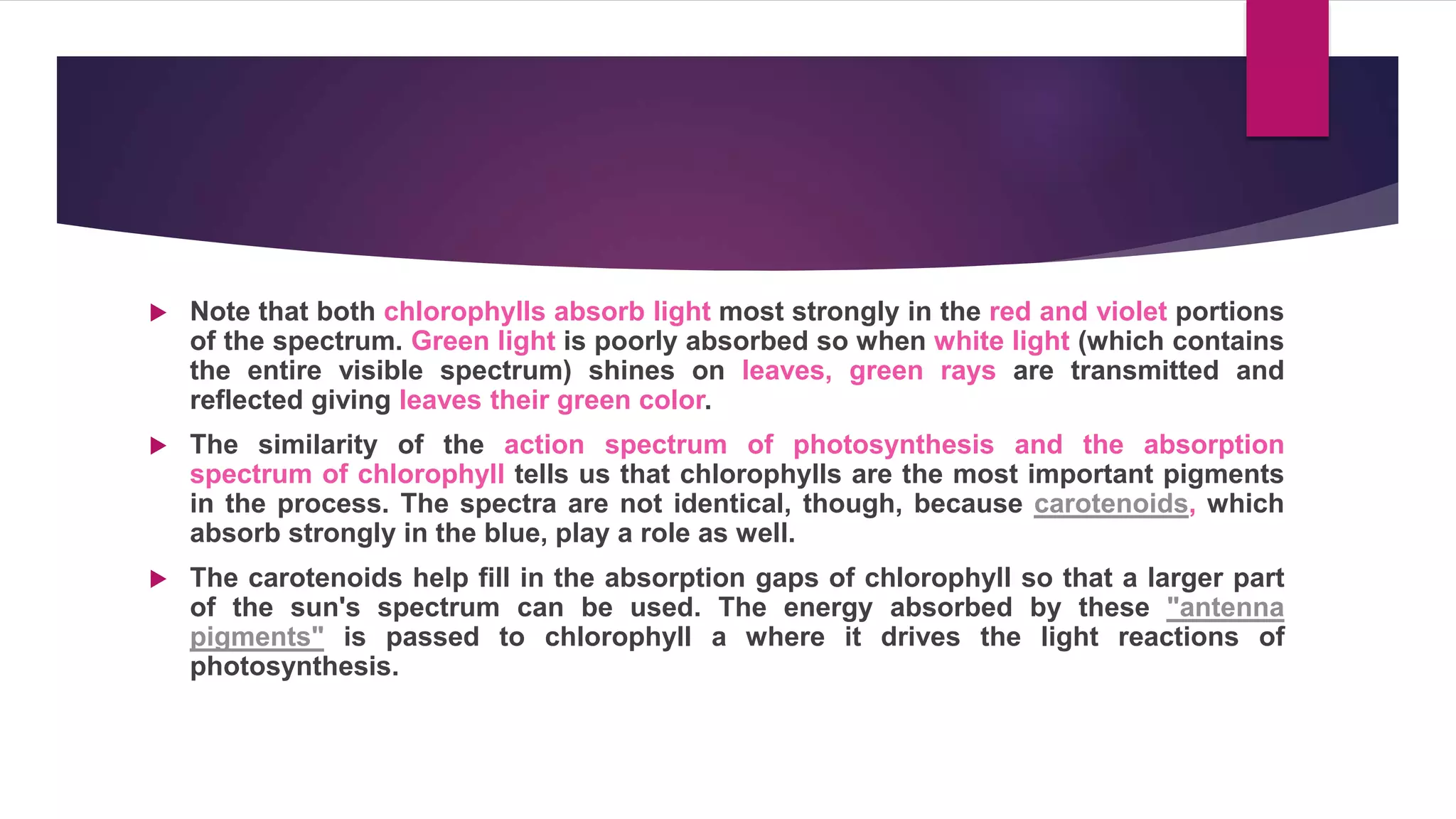 Absorption and action spectrum | PPTX