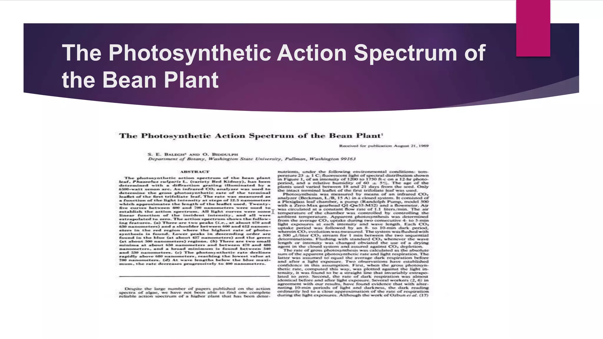 Absorption And Action Spectrum Pptx