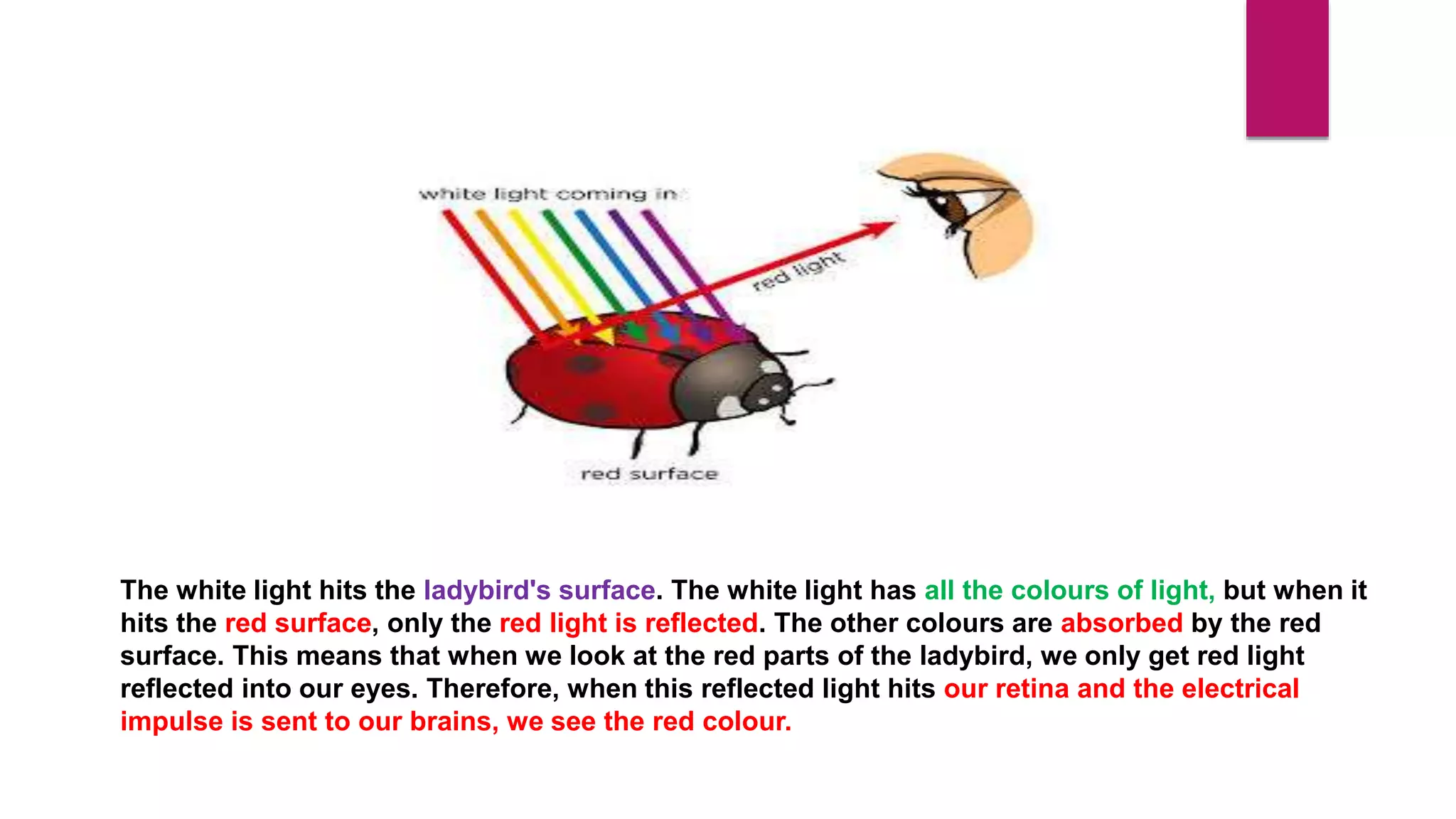 Absorption and action spectrum | PPTX
