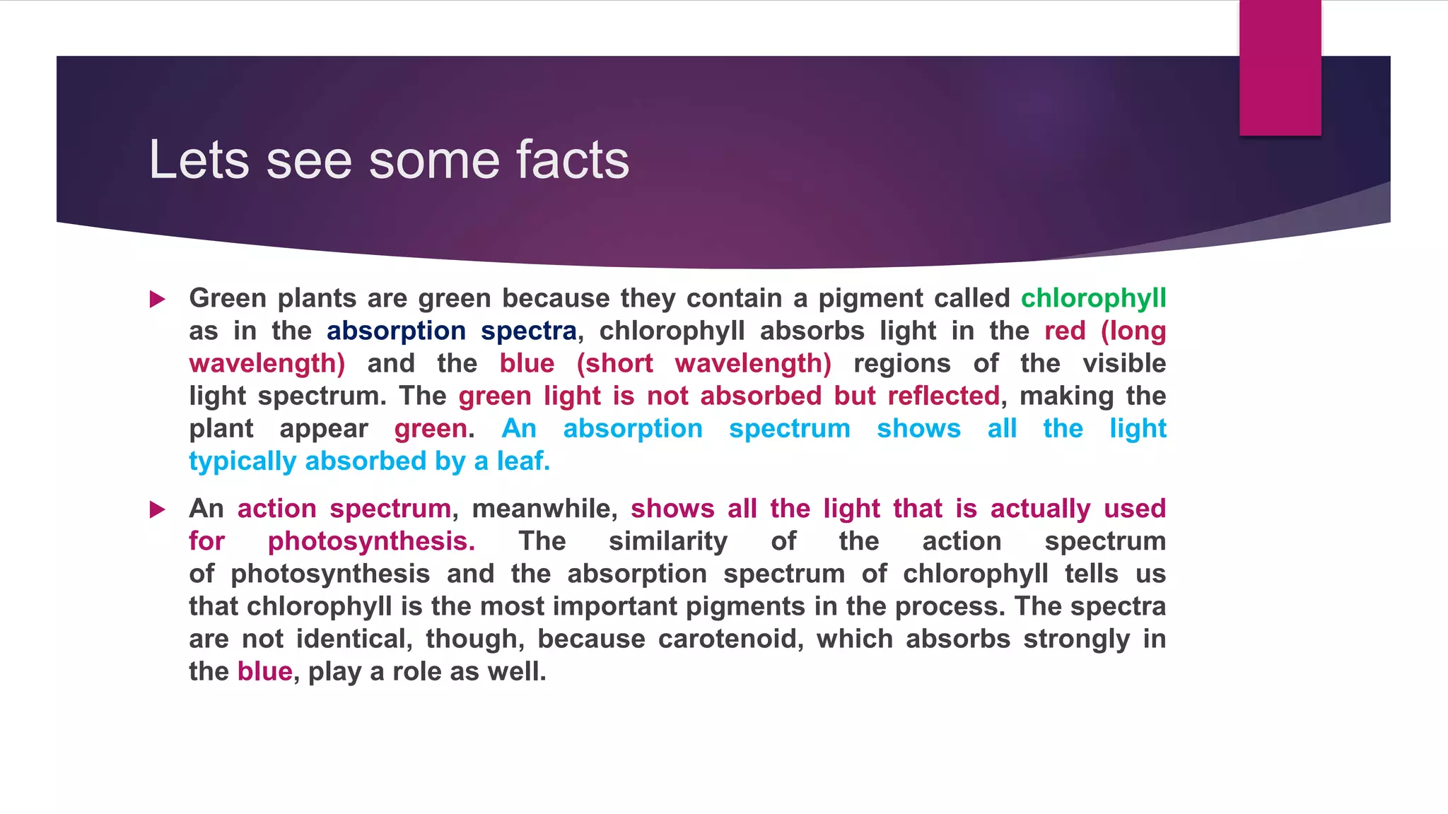 Absorption and action spectrum | PPTX